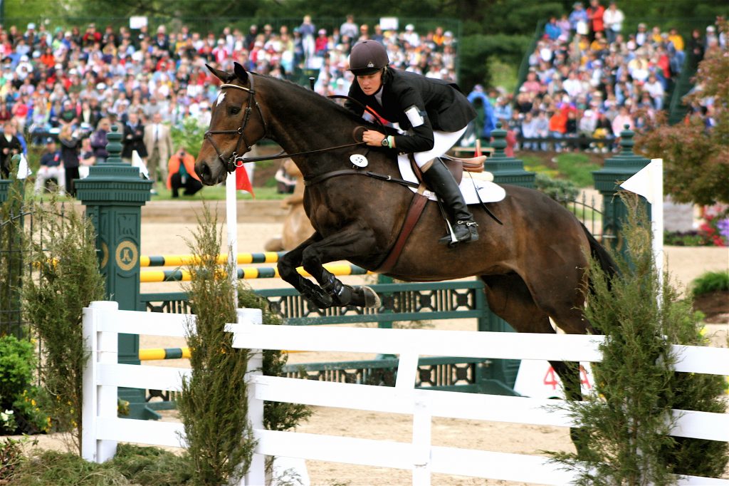 Experience Canada's Largest Variety Of Horse Breeds And Jumping Events ...